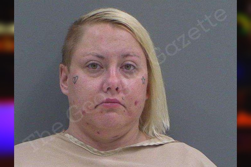 Megan Frady — Rabun County Jail Bookings