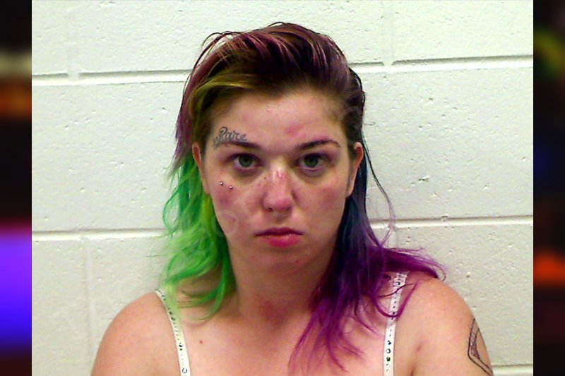 Courtney Futch — Bulloch County Jail Bookings