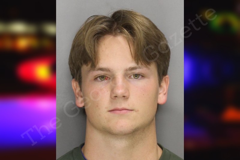 Carson Gray — Cobb County Jail Bookings