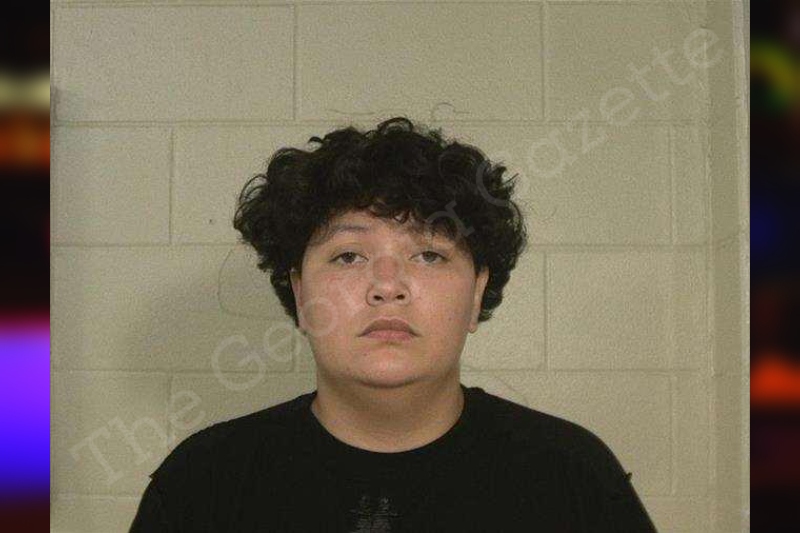 Isabel Gamez — Liberty County Jail Bookings