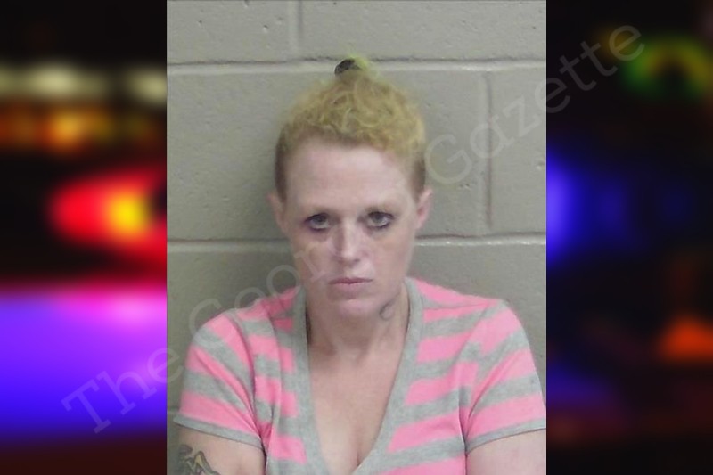 Jessica Grantham-Leja — Wayne County Jail Bookings
