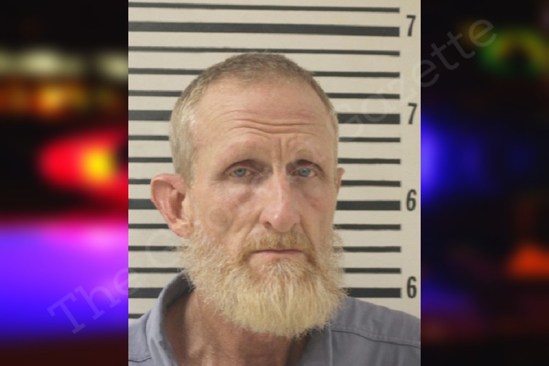 Brandon Hamilton — Toombs County Jail Bookings