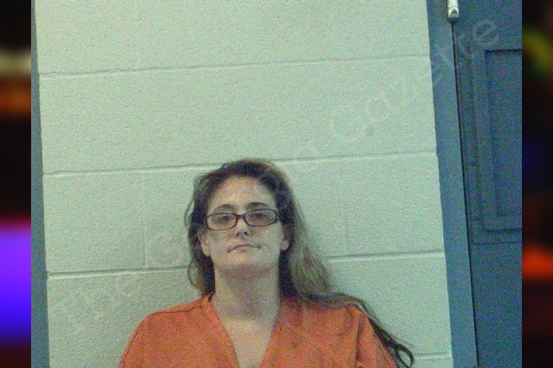 Sarah Hamilton — Stephens County Jail Bookings
