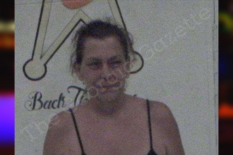 Diane Hendricks — Peach County Jail Bookings