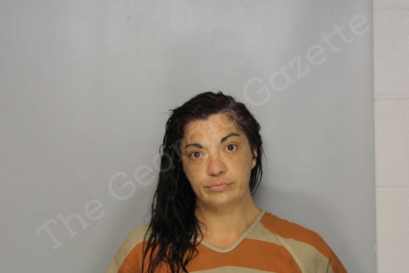 Charlotte Hodge — Hall County Jail Bookings