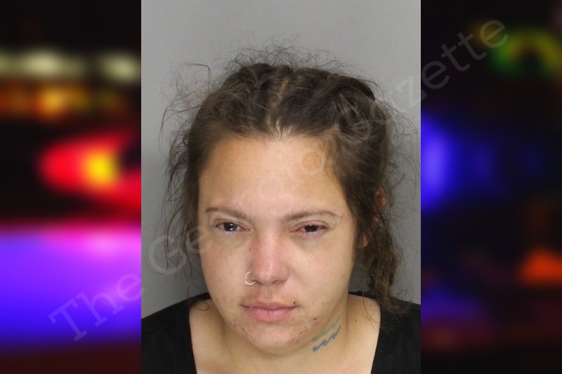 Chelsea Howard — Cobb County Jail Bookings