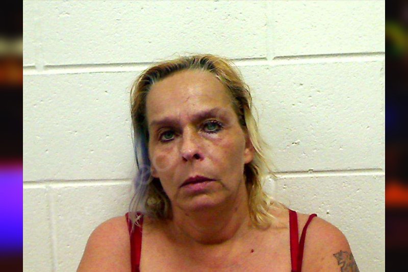 Deborah Hall — Bulloch County Jail Bookings