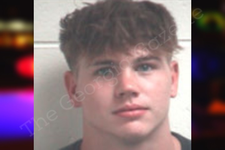 Jake Hall — Henry County Jail Bookings