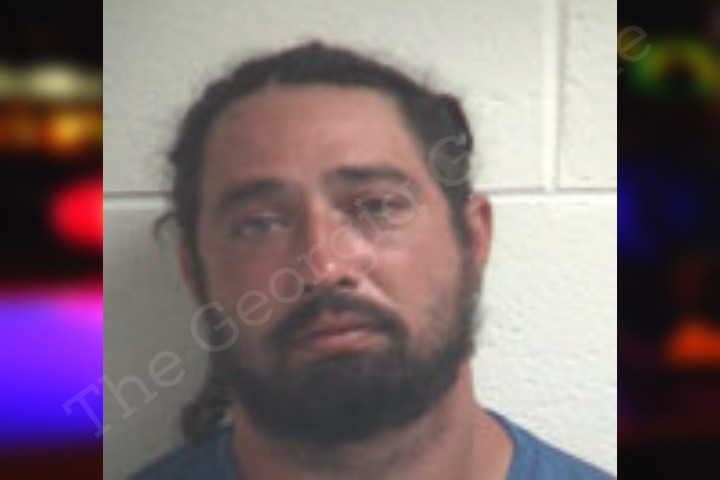 Greg Hamilton — Henry County Jail Bookings