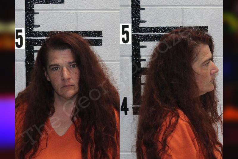 Kristy Hammonds — Murray County Jail Bookings