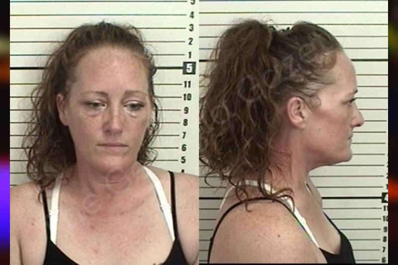 Sarah Handy — Camden County Jail Bookings