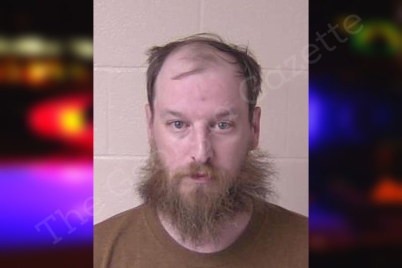 Robert Harris — Walker County Jail Bookings