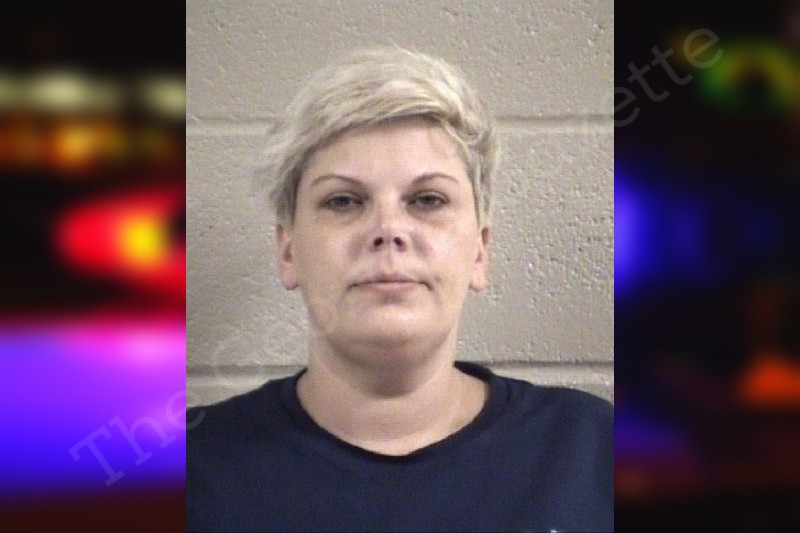 Heather Hinton — Whitfield County Jail Bookings