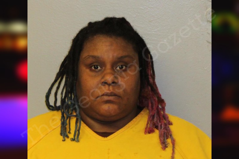Stephanie Young — McIntosh County Jail Bookings