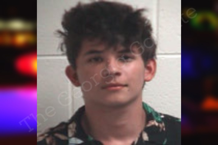 Giovanni Jimenez — Henry County Jail Bookings