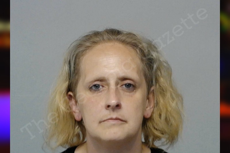 Jessica Ashe — Bibb County Jail Bookings