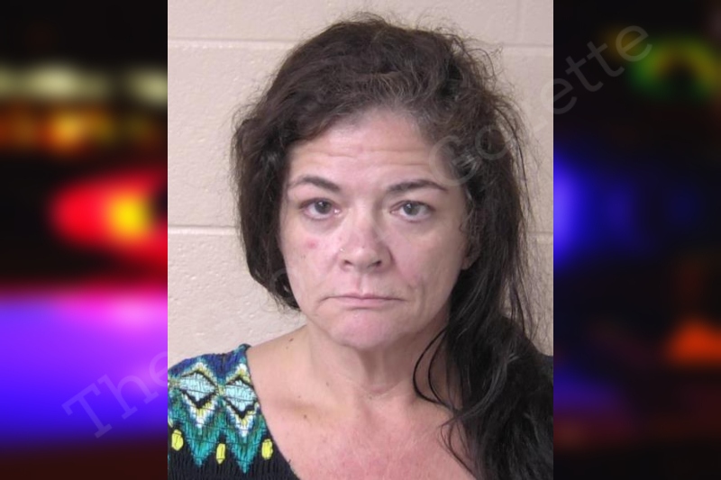 Stephanie Kuczynski — Walker County Jail Bookings