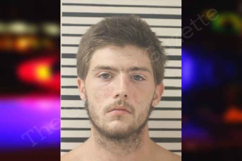 Jacob Langley — Toombs County Jail Bookings