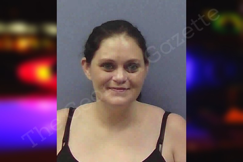 Mandy Lea — Chattooga County Jail Bookings