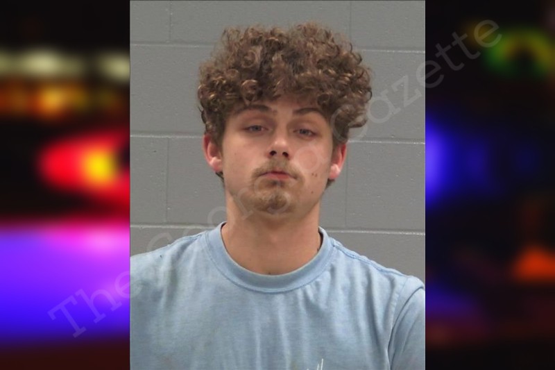 Alan Lopez — Baldwin County Jail Bookings