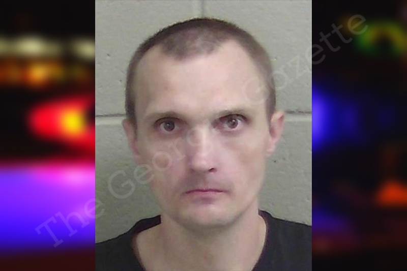 Brian Leduc — Wayne County Jail Bookings