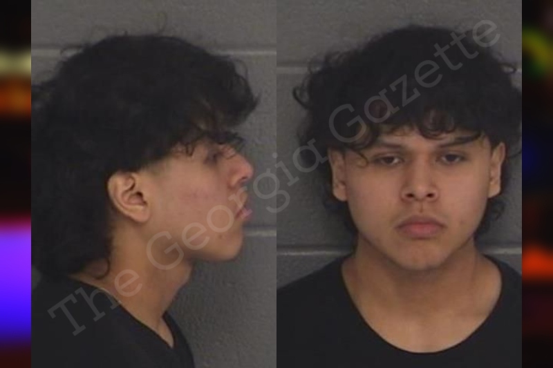 Allan Lopez Torres — Barrow County Jail Bookings