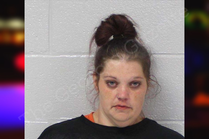 Chasity Mooney — Carroll County Jail Bookings