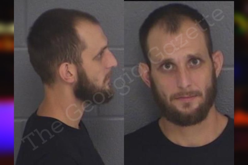Jamie Mathis — Barrow County Jail Bookings