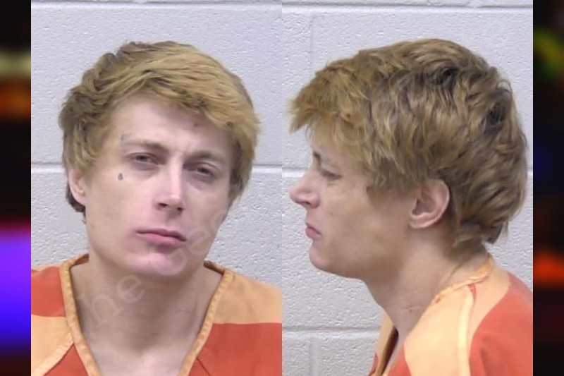 Steven McAdams — Paulding County Jail Bookings