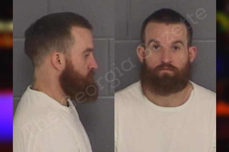 Clifford McElhannon — Barrow County Jail Bookings