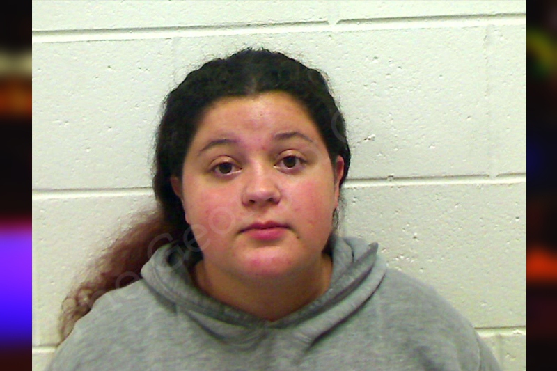 Emily McFarland — Bulloch County Jail Bookings