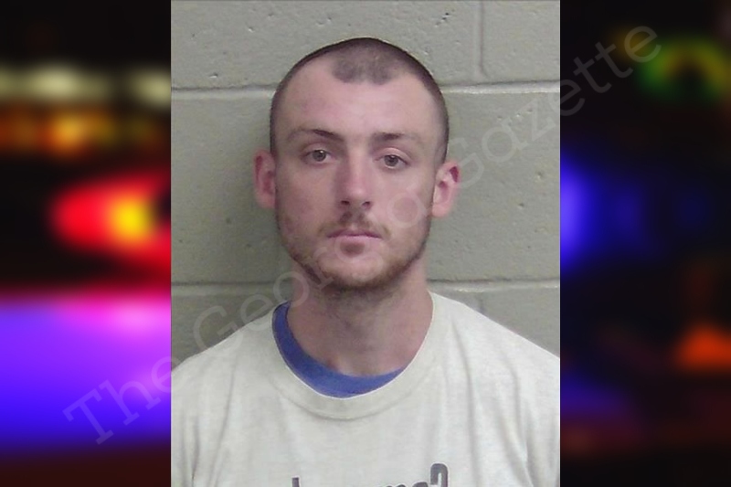 Matthew Moses — Wayne County Jail Bookings