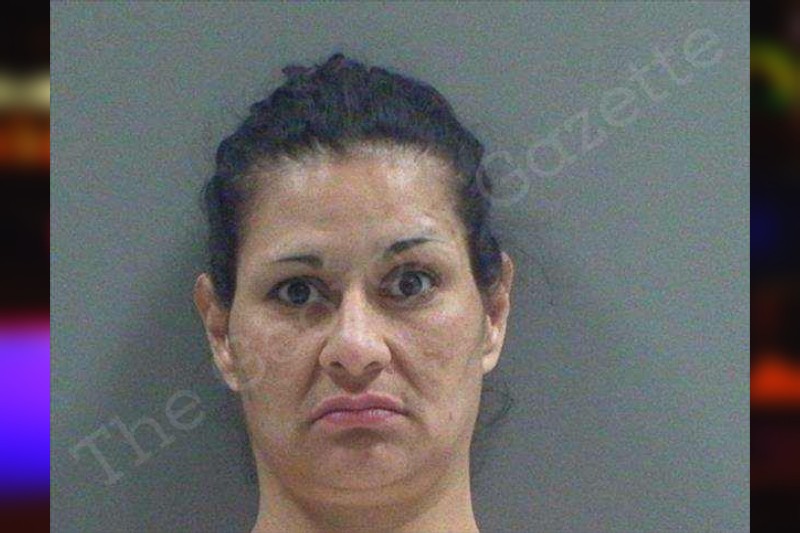 Crystal Ortiz — Rabun County Jail Bookings