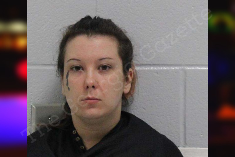 Davida Perry — Carroll County Jail Bookings