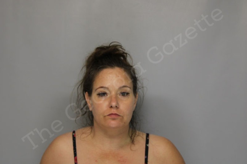 Amanda Poland — Hall County Jail Bookings
