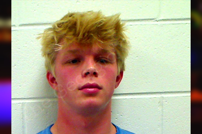 David Purdie — Bulloch County Jail Bookings