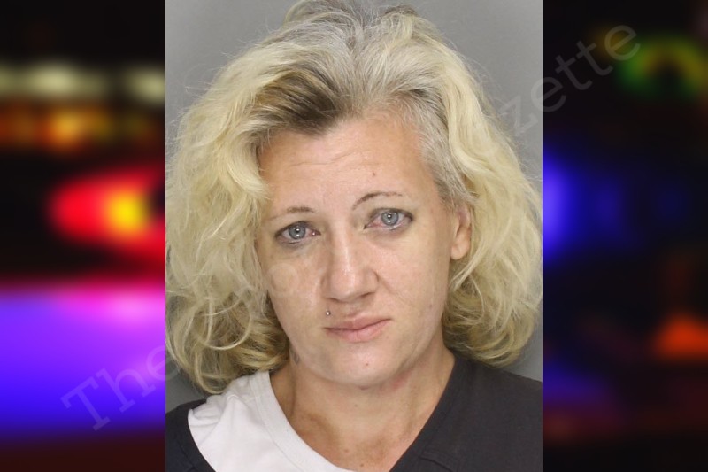 Jennifer Reese — Cobb County Jail Bookings