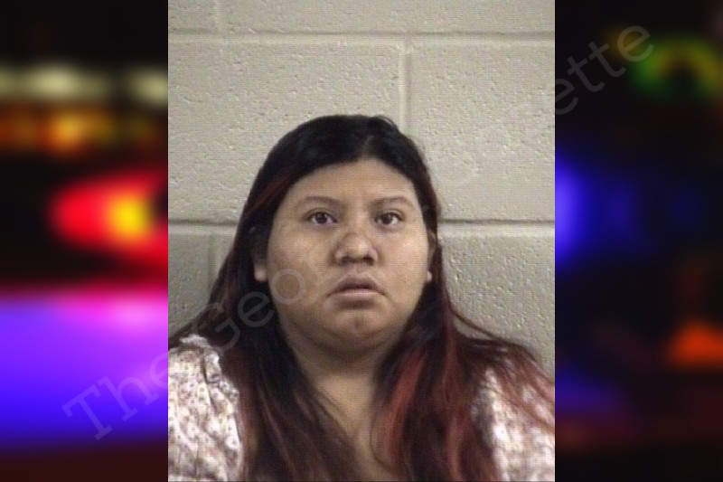 Mariela Ramirez-Macario — Whitfield County Jail Bookings