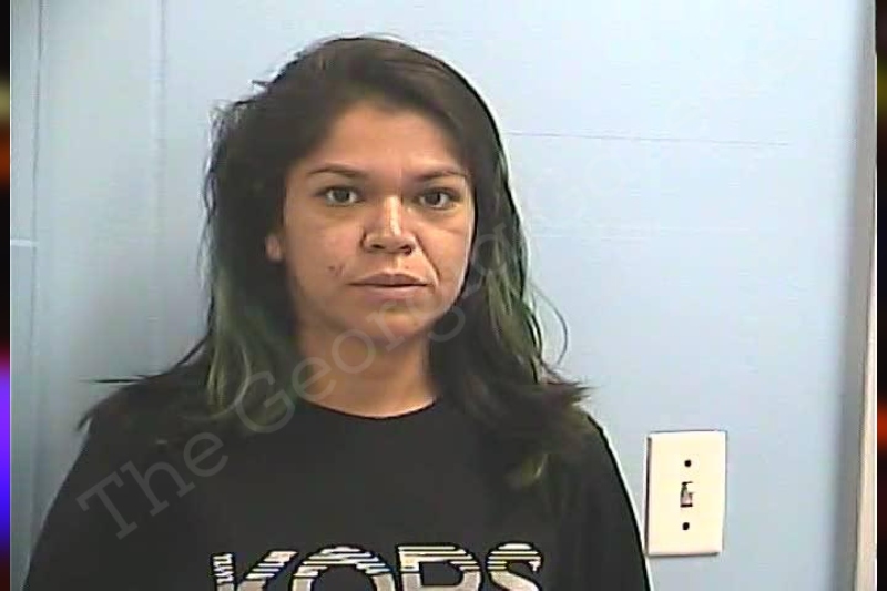 Celiamaria Rangel — Dawson County Jail Bookings