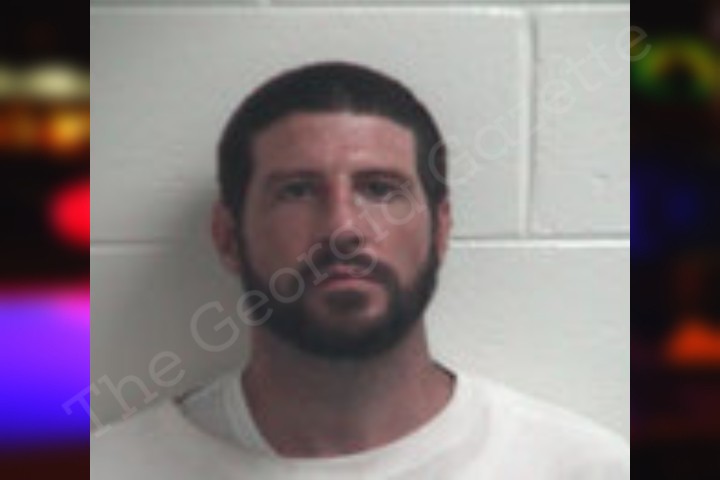 Marc Rommelman — Henry County Jail Bookings