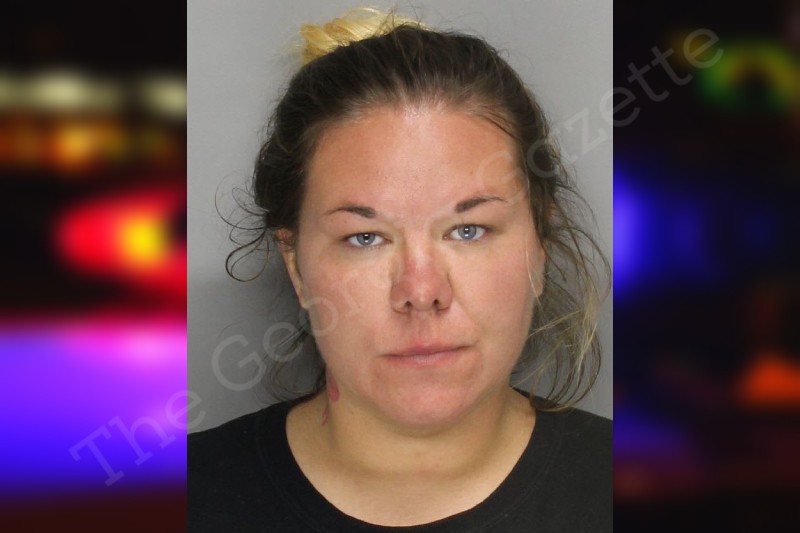 Ashley Smith — Cobb County Jail Bookings