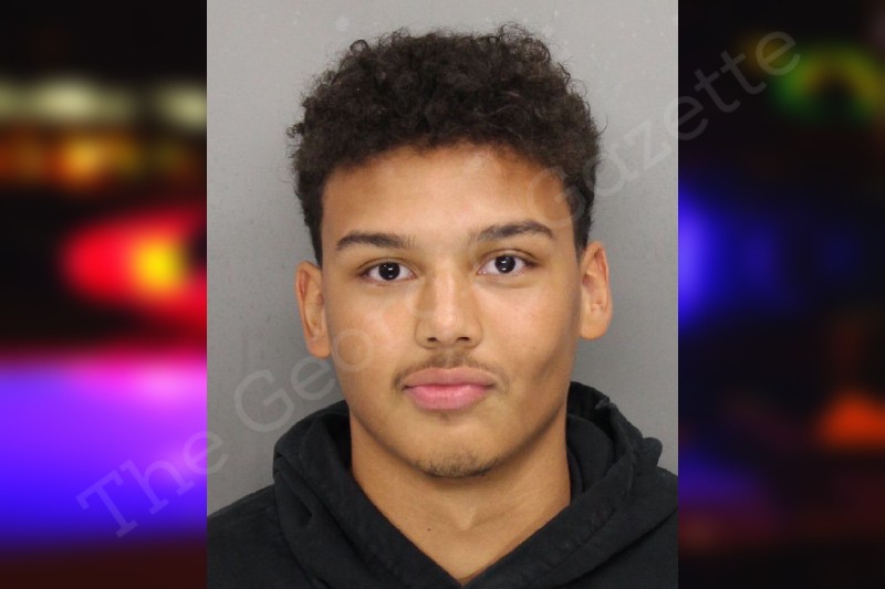 Kamrin Smith — Cobb County Jail Bookings