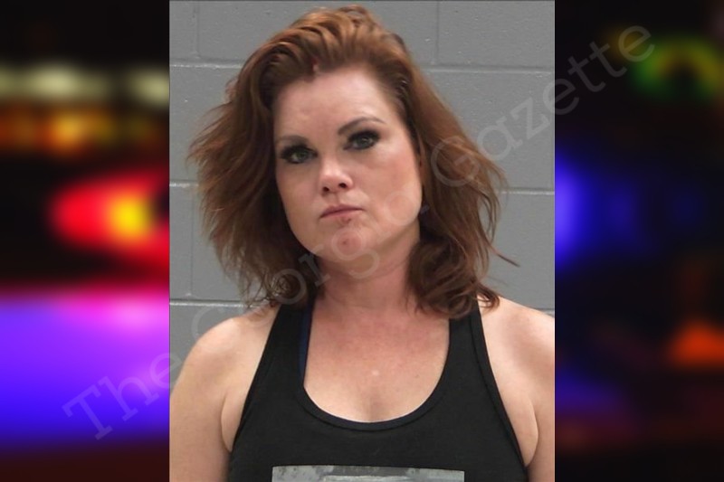 Melissa Stasney — Baldwin County Jail Bookings