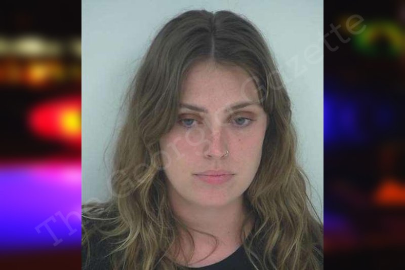 Rylee School — Fayette County Jail Bookings