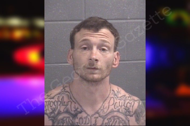 Branden Smallwood — Spalding County Jail Bookings