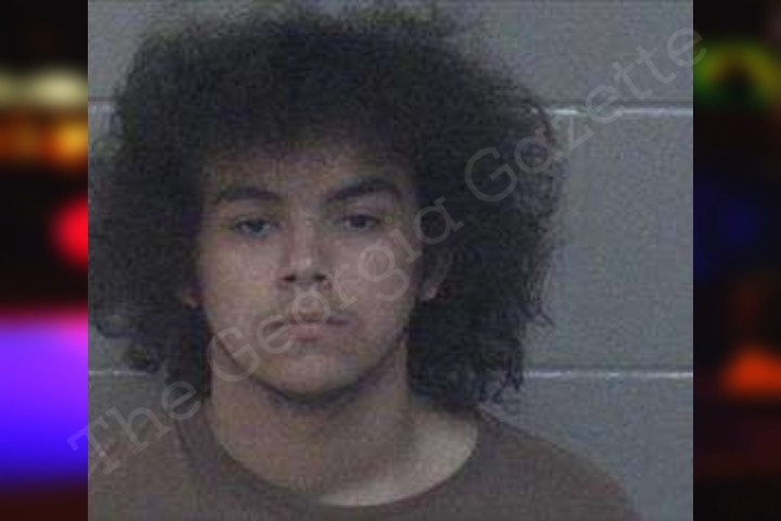 Angel Tavarez — Morgan County Jail Bookings