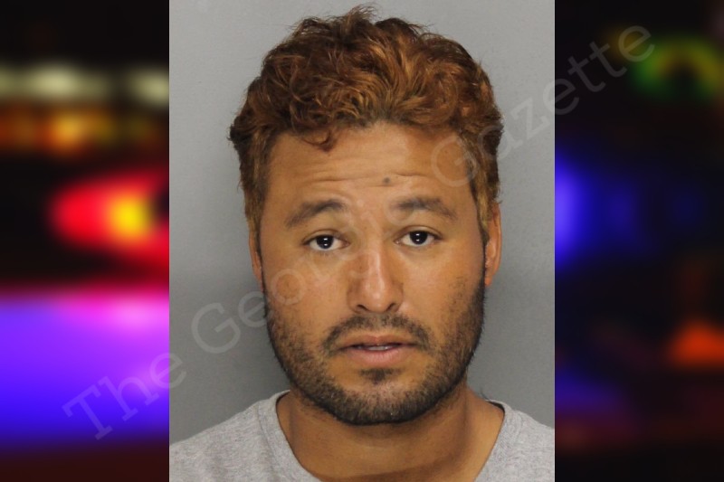 Angel Thompson — Cobb County Jail Bookings