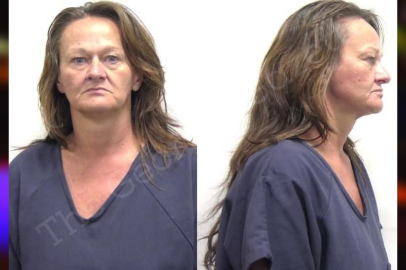 Kelli Thornton — Clarke County Jail Bookings