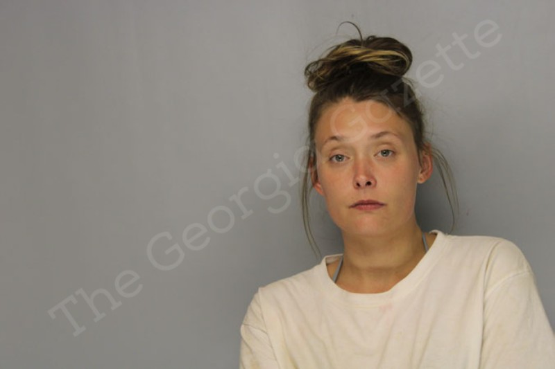 Elizabeth Turner — Hall County Jail Bookings