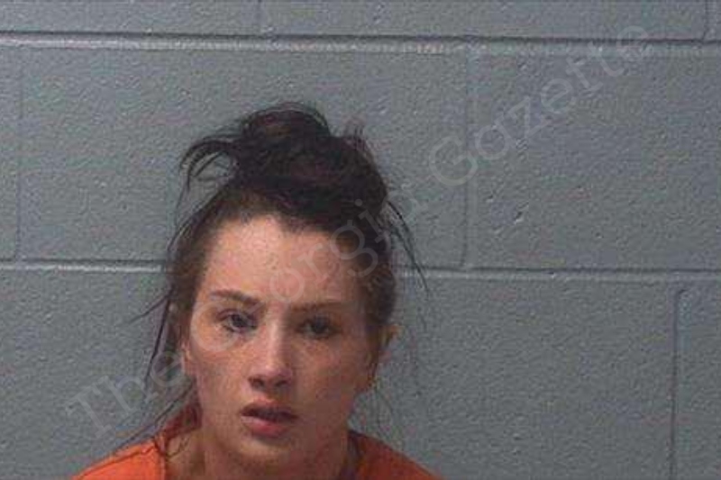 Morgan Tilson — Franklin County Jail Bookings